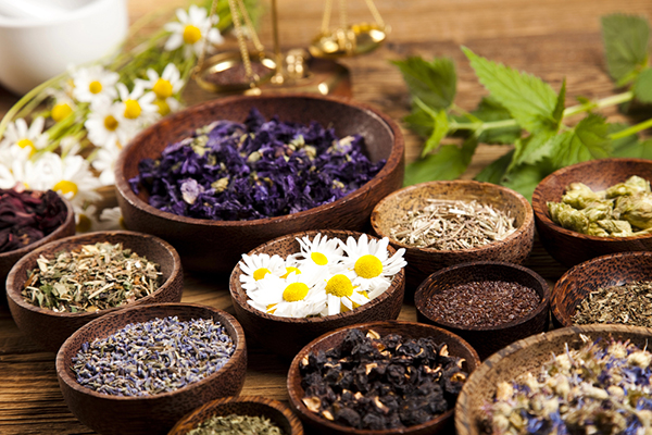 A Guide to Medicinal Herbs